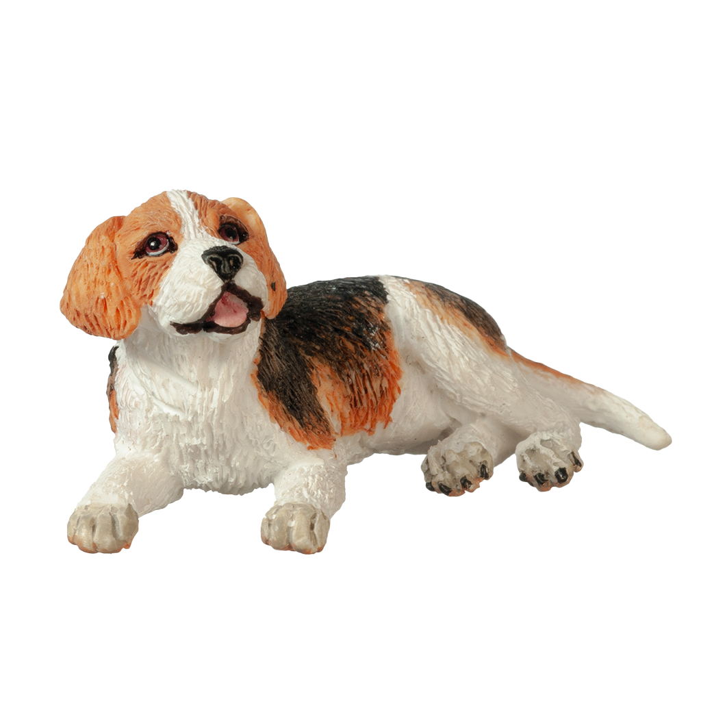 Beagle Miniature